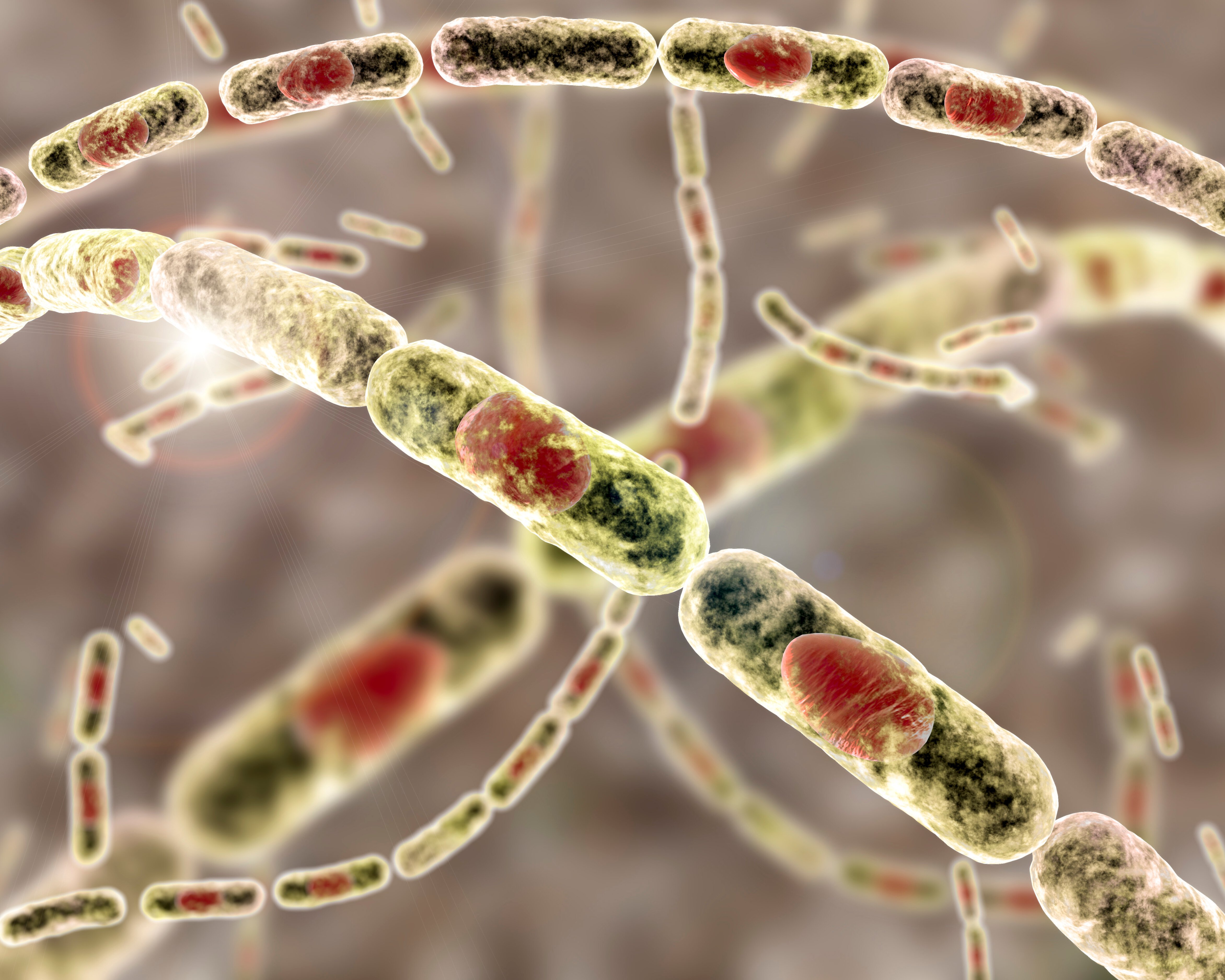 Sporen - Bedeutung von Sporen anschaulich erklärt | pure11 Glossar | Pure¹¹